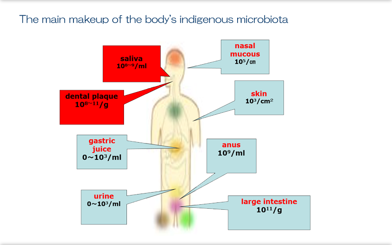 17.Introduction to Protection against Infection